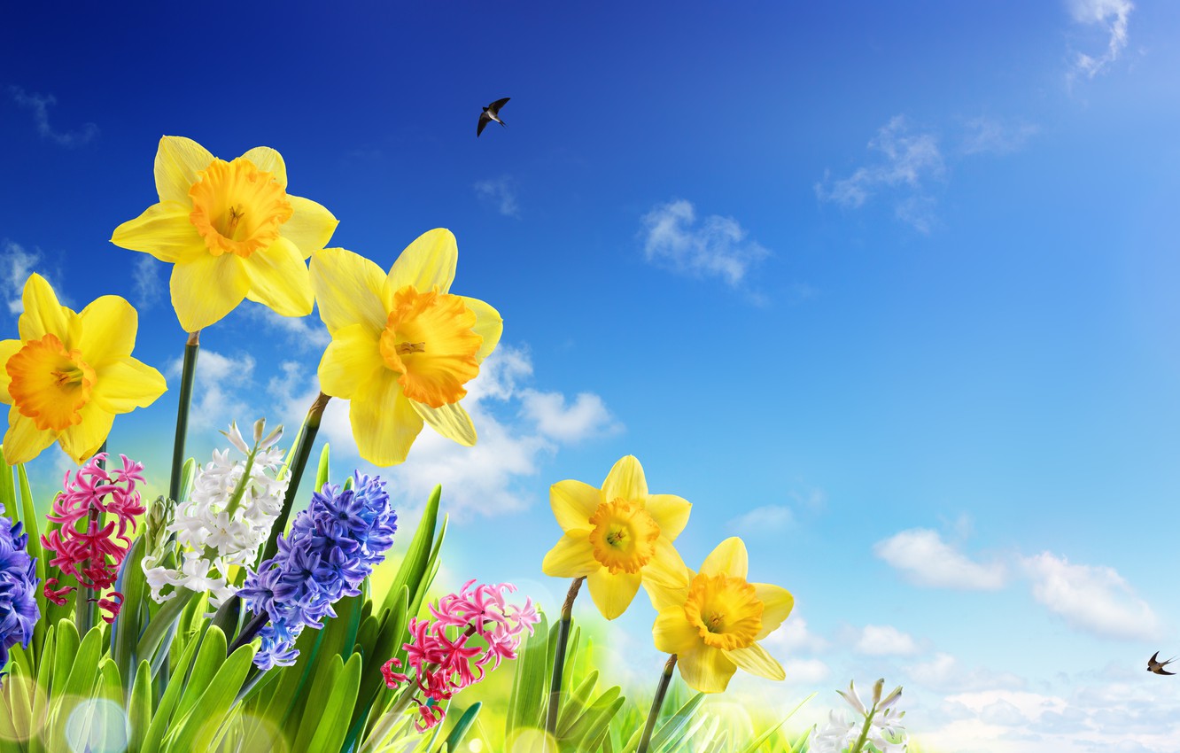 Spring Hotel Offers in Limerick | The Savoy Hotel Limerick